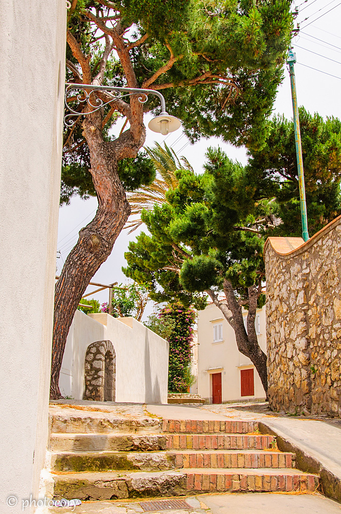 Capri stairs | PhotoCory
