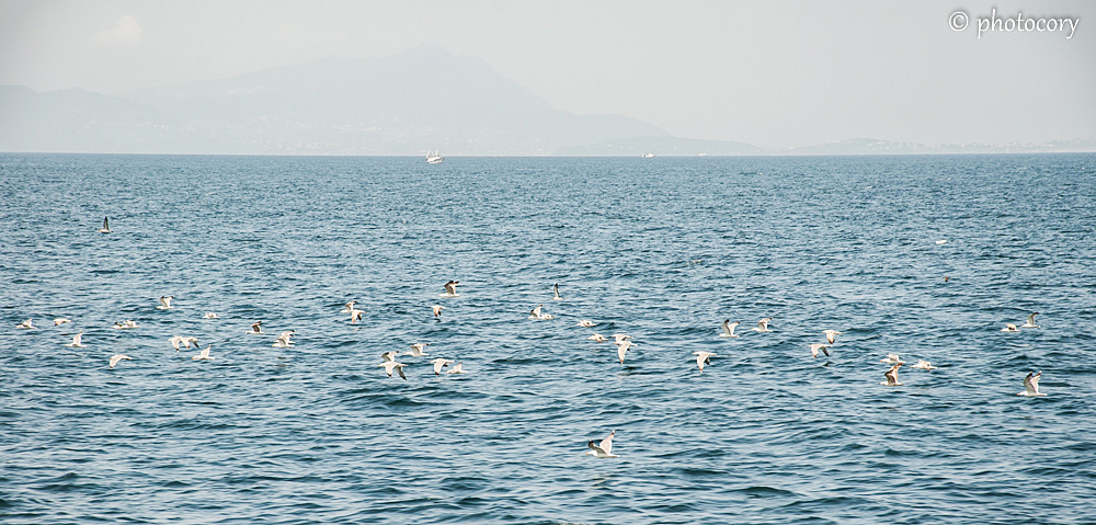 Tyrrhenian Sea | PhotoCory