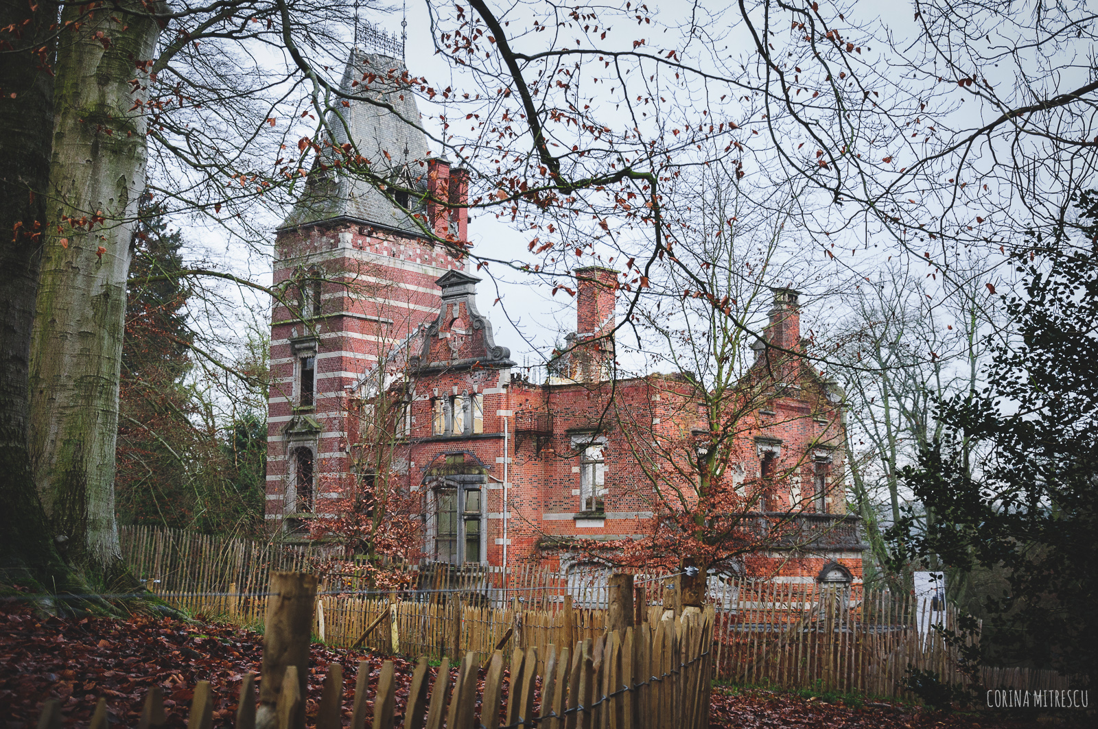 Parc Tournay-Solvay in Brussels | PhotoCory