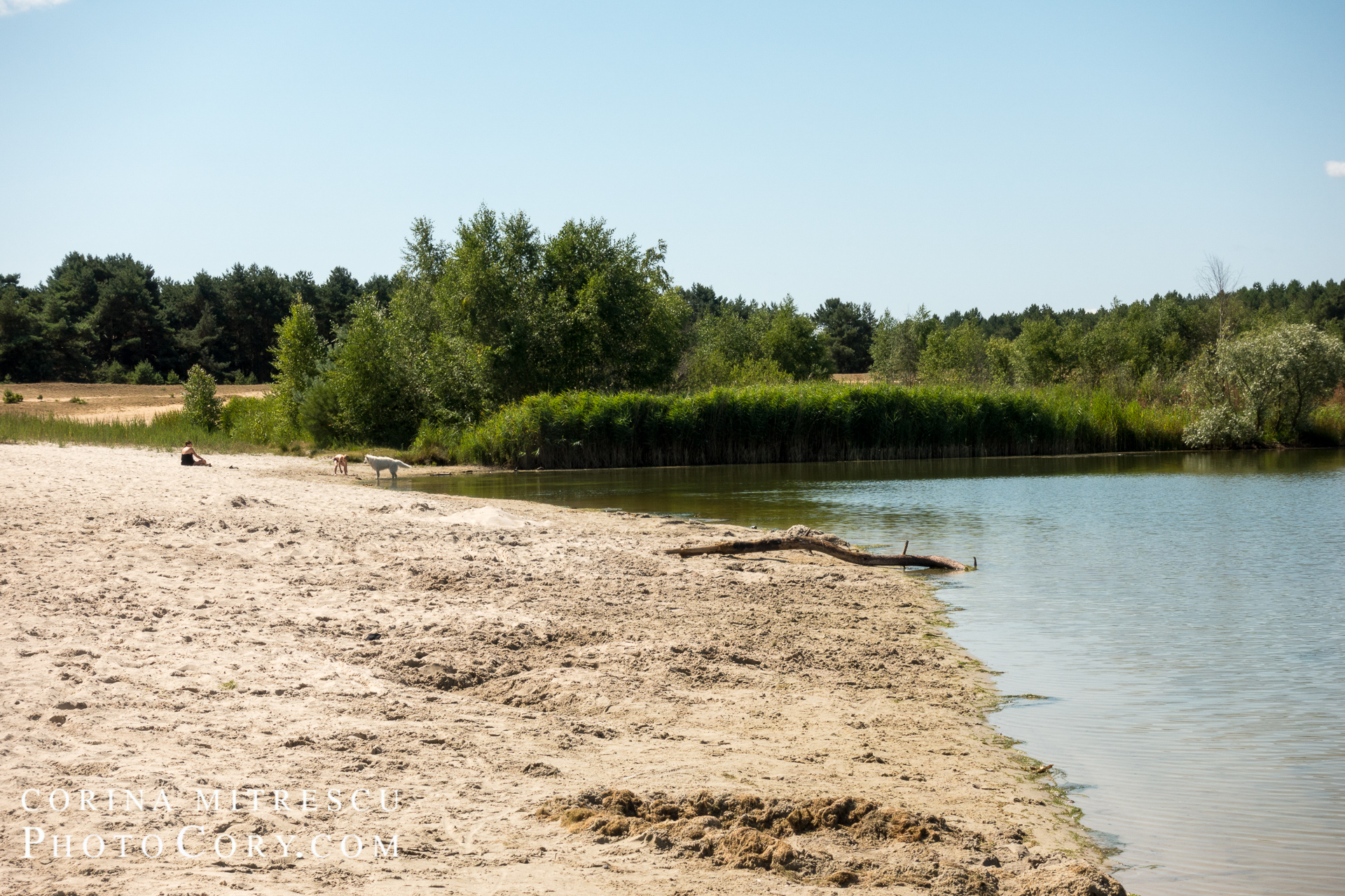 Lommel Sahara, Belgium | PhotoCory